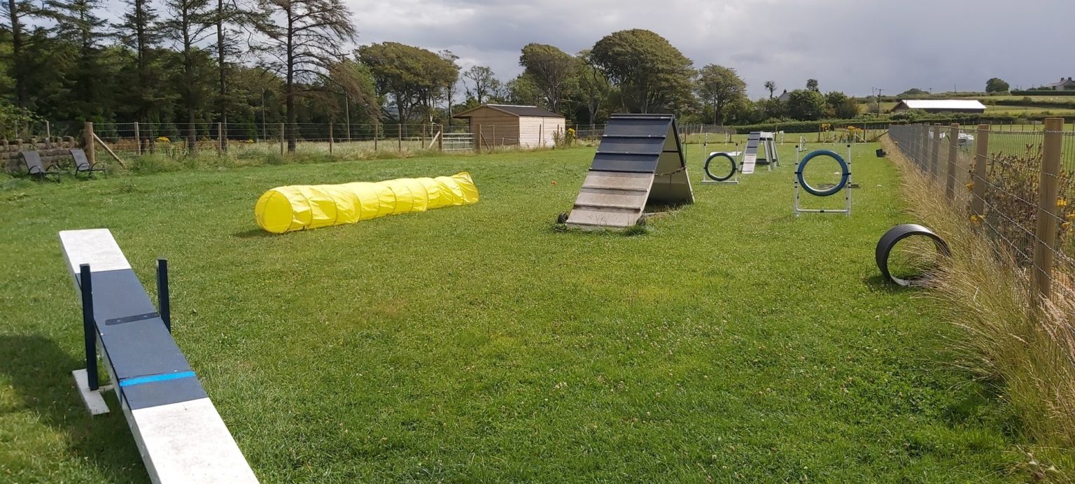 Dog Agility for Fun - Beginners to Experienced - Angelwood Lodge