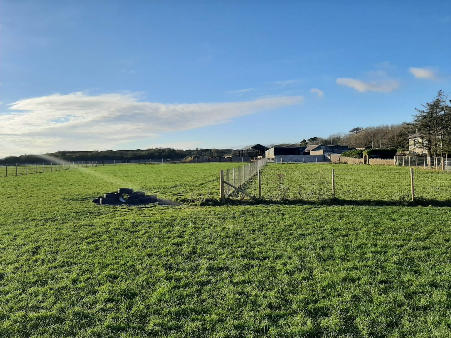 Secure Dog Walking Field - for hire - Angelwood Lodge